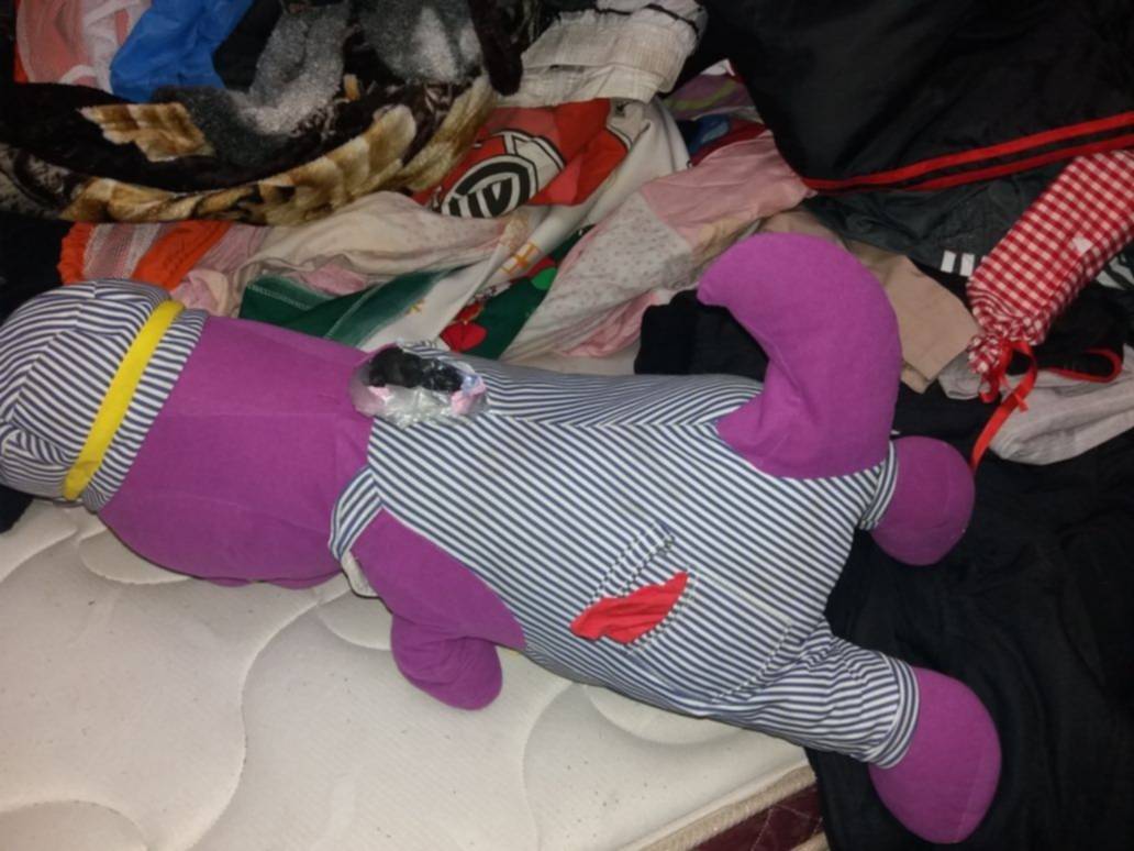 VIDEO: Con "Operativo Barney" desbaratan banda narco que entregaba la ...