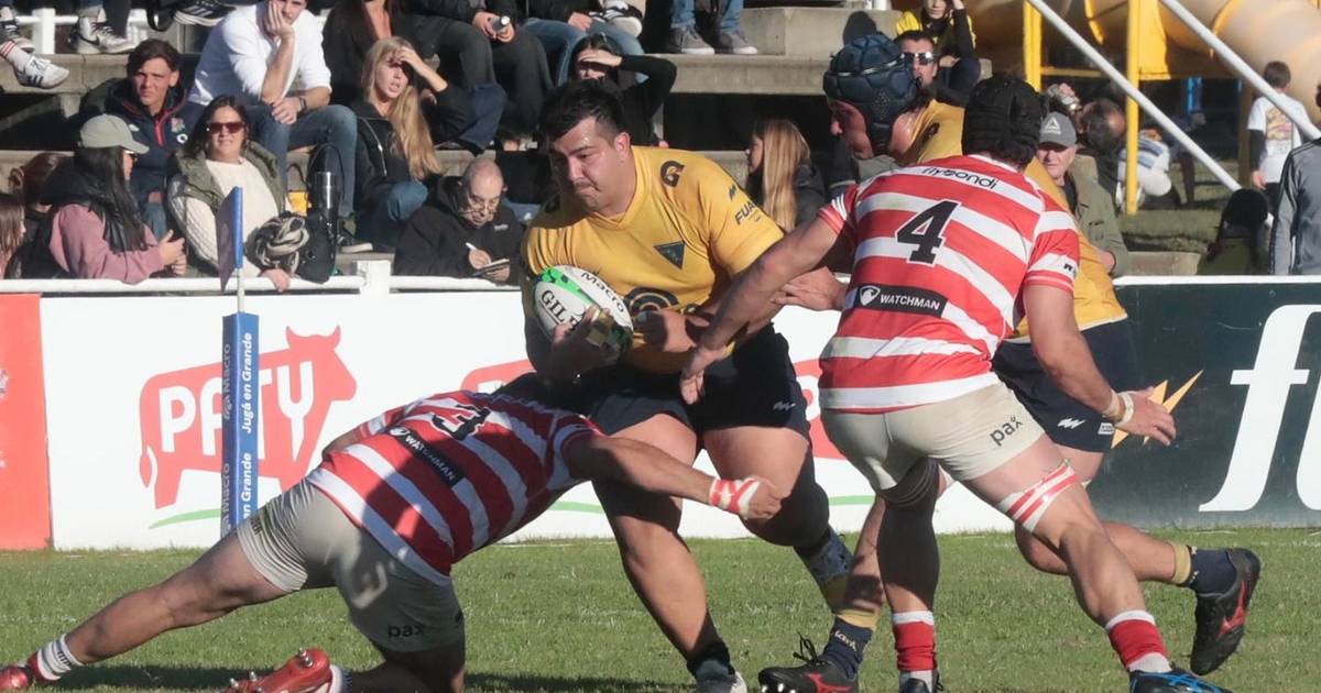 Rugby de la URBA, resultados: empató Los Tilos y cayó La Plata | El Dia