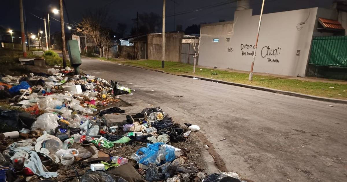 Basura, mal olor y ratas: vecinos denuncian un problema “crónico” | El Dia