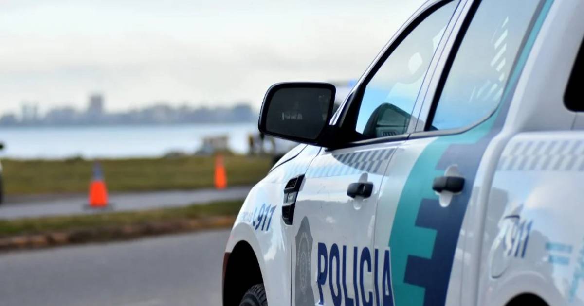 Mar del Plata: incorporan 17 vehículos para reforzar tareas de ...
