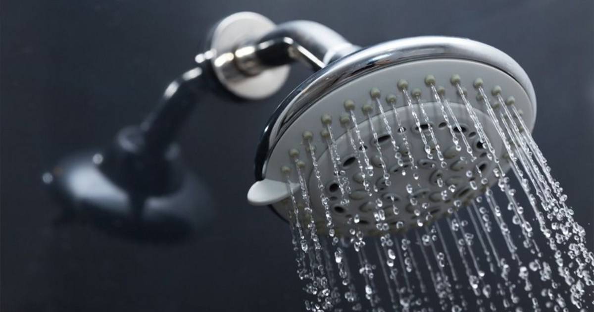Revelan el truco casero para destapar la ducha y tener buena presión de ...