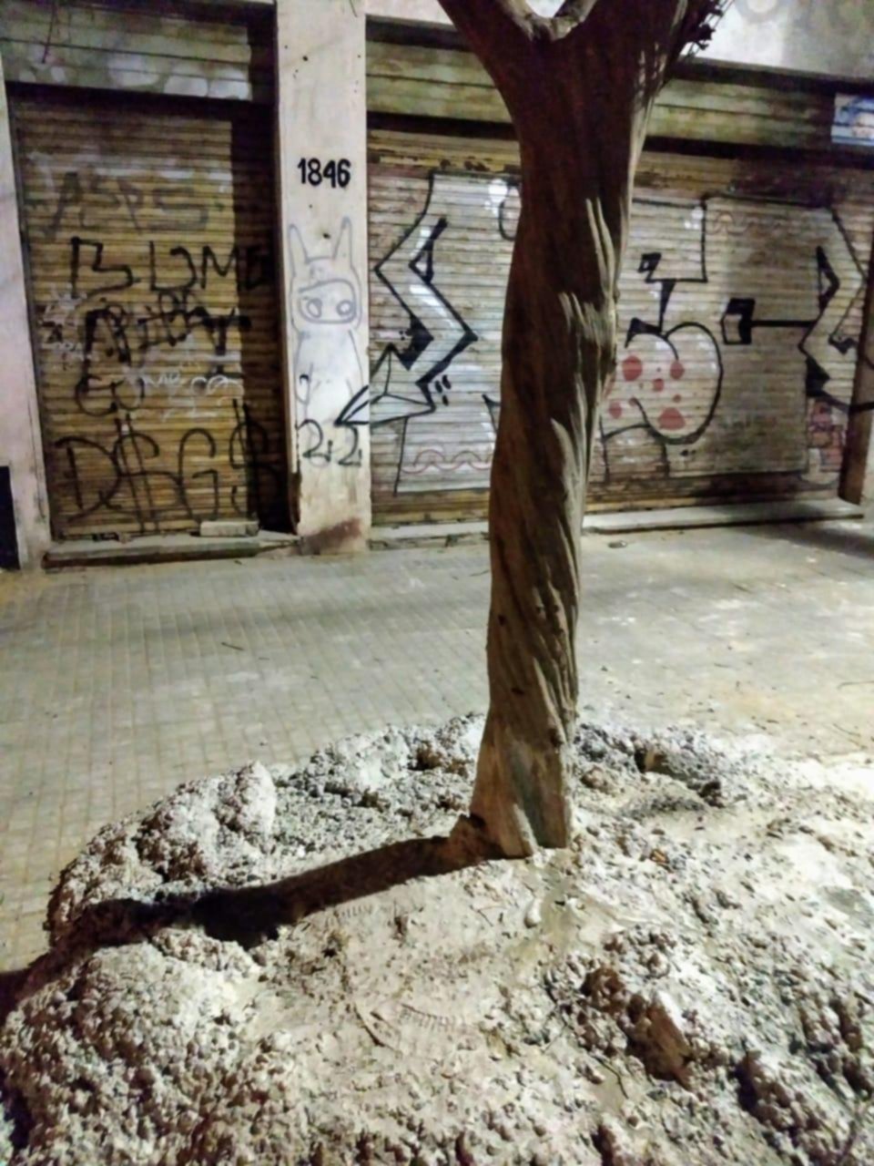 Recubren con cemento la base de un árbol en 5, 69 y 70 Recubren con cemento la base de un árbol en 5, 69 y 70