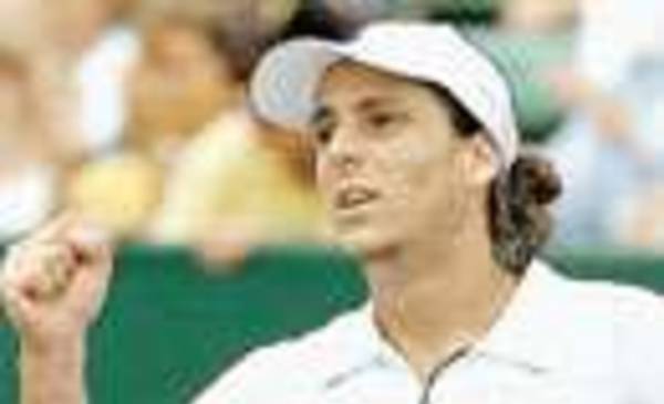 Gaudio borró a André Agassi