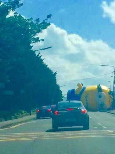 Insólito: un Minion gigante suelto en plena autopista